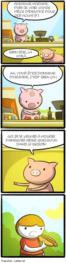 20 mini BD hilarantes sur le quotidien des animaux