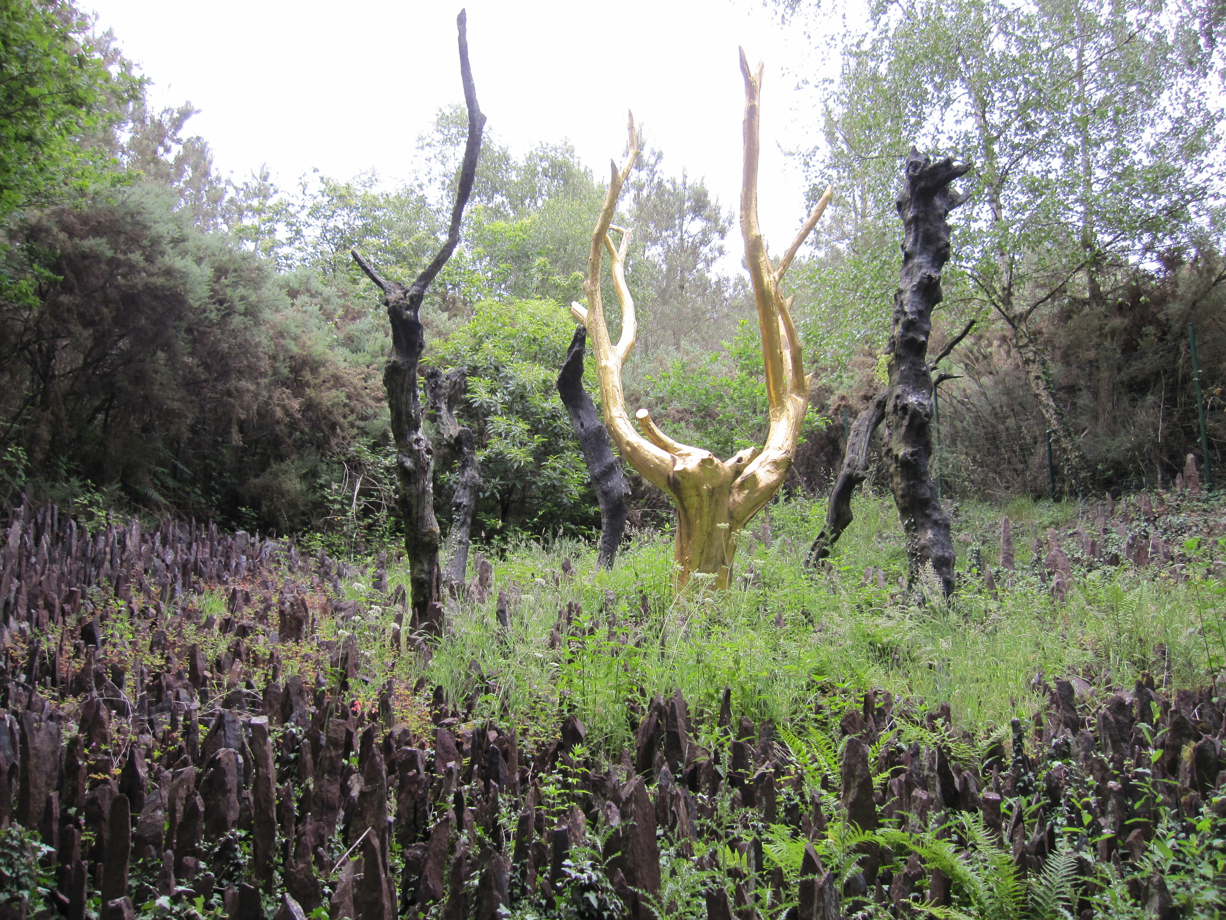 15 merveilles cachées au cœur de la Forêt de Brocéliande, à visiter ...